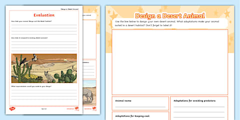 Desert Adaptations Mind Map