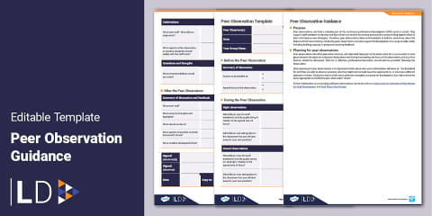 Editable Teacher/Classroom Observation Form