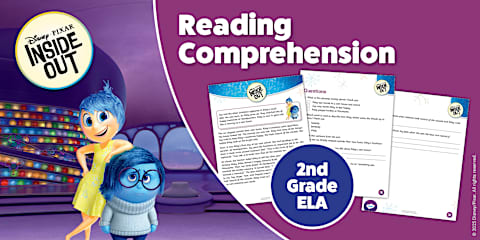 Second Grade Vocabulary in Context Quiz