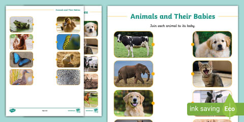 Animals and Their Babies Interactive Matching Game