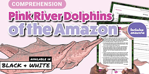 Grade 4 English FAL – Term 1 – Comprehension: Pink River Dolphins ...