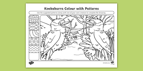 How to Draw a Kookaburra Step by Step