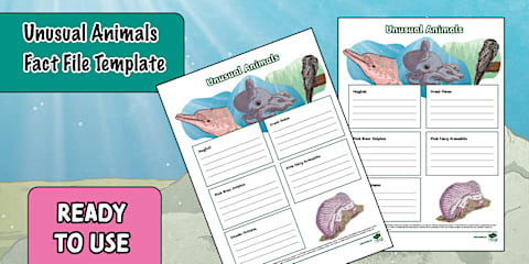 Create a Sentence Cards for Special Education