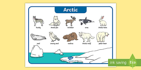 Arctic Animals - Stick Puppets