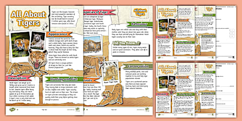 Fun Facts About Tigers Display Poster