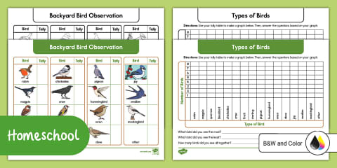 Label the Bird Differentiated Cut and Paste Worksheet for K-2nd Grade