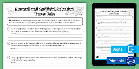 Natural Selection Choice Board for 6th-8th Grade