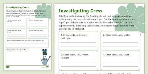 Plant Growth Prediction Worksheet