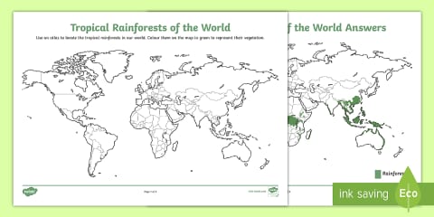 Animals of the Amazon Rainforest Facts Worksheet