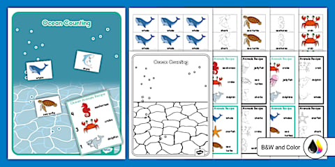 Transportation Counting Recipe Activity Cards for PreK-K