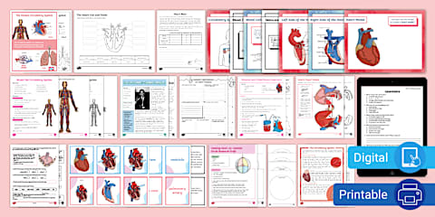 Parts of the Heart Cut and Paste Worksheet for 3rd-5th Grade