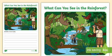 Beach Scene Writing Stimulus Picture Worksheet