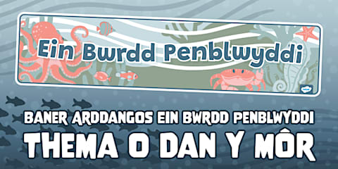 Baneri Bach Croeso i'r Llyfrgell