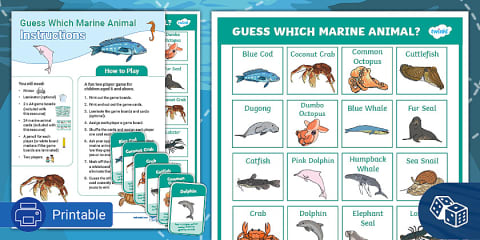 What Am I? Guess the Sea Animals Game