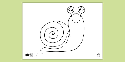 Snail Diagram Pack