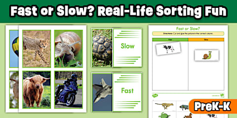 Fast and Slow Animals Interactive Sorting Activity