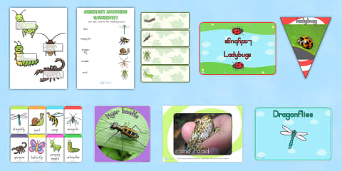 Minibeasts Investigation Lab Checklist of Minibeasts - Australia