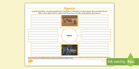 KS1 Hyena Fact File