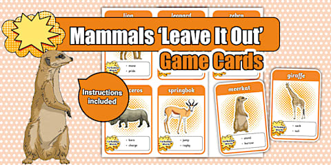 Intermediate Phase Natural Sciences - Animals that Camouflage - Fact ...