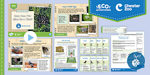 Year 5 Biodiversity: Lesson 3 - How Can We Work to Welcome Wildlife?