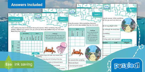 Animal Adoption Logic Puzzle Pack