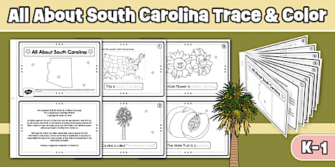 Alphabet Review: Letter of the Day Worksheets for PreK-K