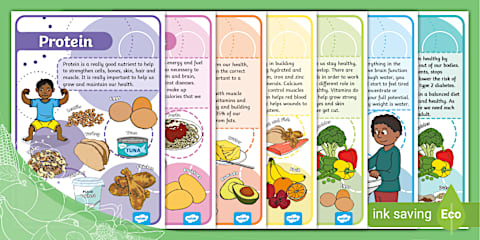Food Groups Display Posters