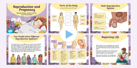 RSHP Human Sexuality PowerPoint