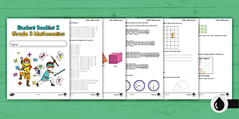 Grade 2 Canadian Money Written Assessment and Rubric