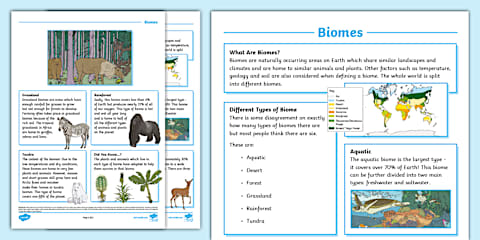 Biomes Graphic Organizer
