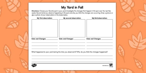 First Grade My Favorite Fall Worksheet Writing Prompt Activit