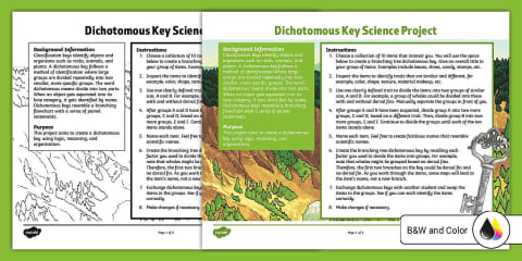 Drawing Branched Dichotomous Keys Differentiated Activity