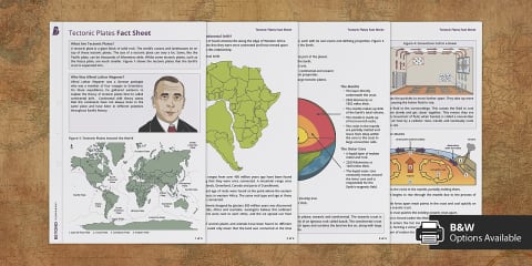 Tectonic Plate Boundaries Graphic Organizer for 6th-8th Grade