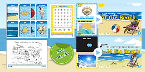 This Is the Beach Early Emergent Reader
