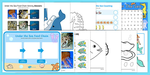 Sea Creatures Food Chain Paper Chain Activity