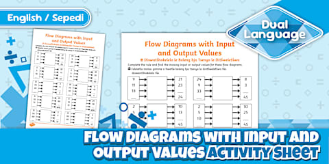 Flow Diagrams with Input and Output Values Activity Sheet