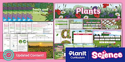 Science: Plants: Year 3 Tiered Vocabulary Posters