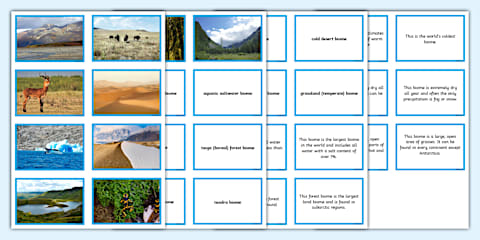 Biomes Photo Flashcards