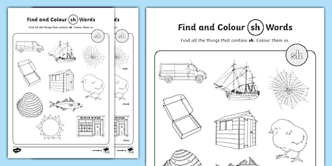 ESL 'Sh' Words Phonics Search Worksheet