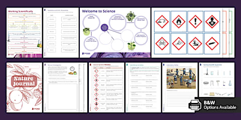 Risk Assessment Worksheet | Science Practical Skills | Beyond
