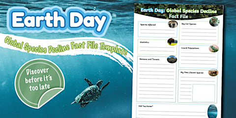 The Perfect Dot Visual Station