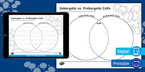 Prokaryotic vs. Eukaryotic Cells Exit Ticket for 6th-8th Grade