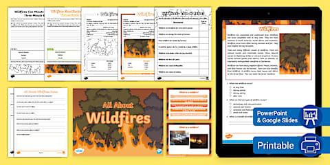 Second Grade Preventing Wildfires Fact File and Vocabulary Questions