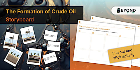 Formation of Coal Sequencing Worksheet for 3rd-5th Grade