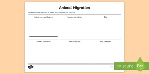 Migrating Animals Fact File Template
