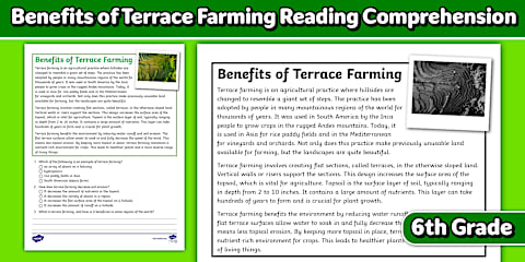 Sixth Grade Human Impact on the Environment Reading Passage Comprehension