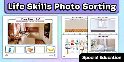 Life Skills Picture Sorting Activity: Where Does It Go? for Special ...