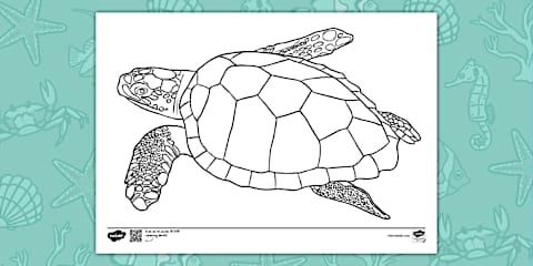 World Turtle Day Doodle Colouring Page