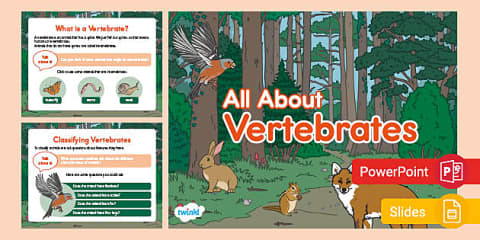 Classifying Vertebrates PowerPoint