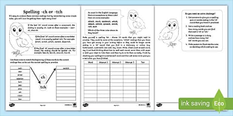 Phonics Sentence Building: -tch